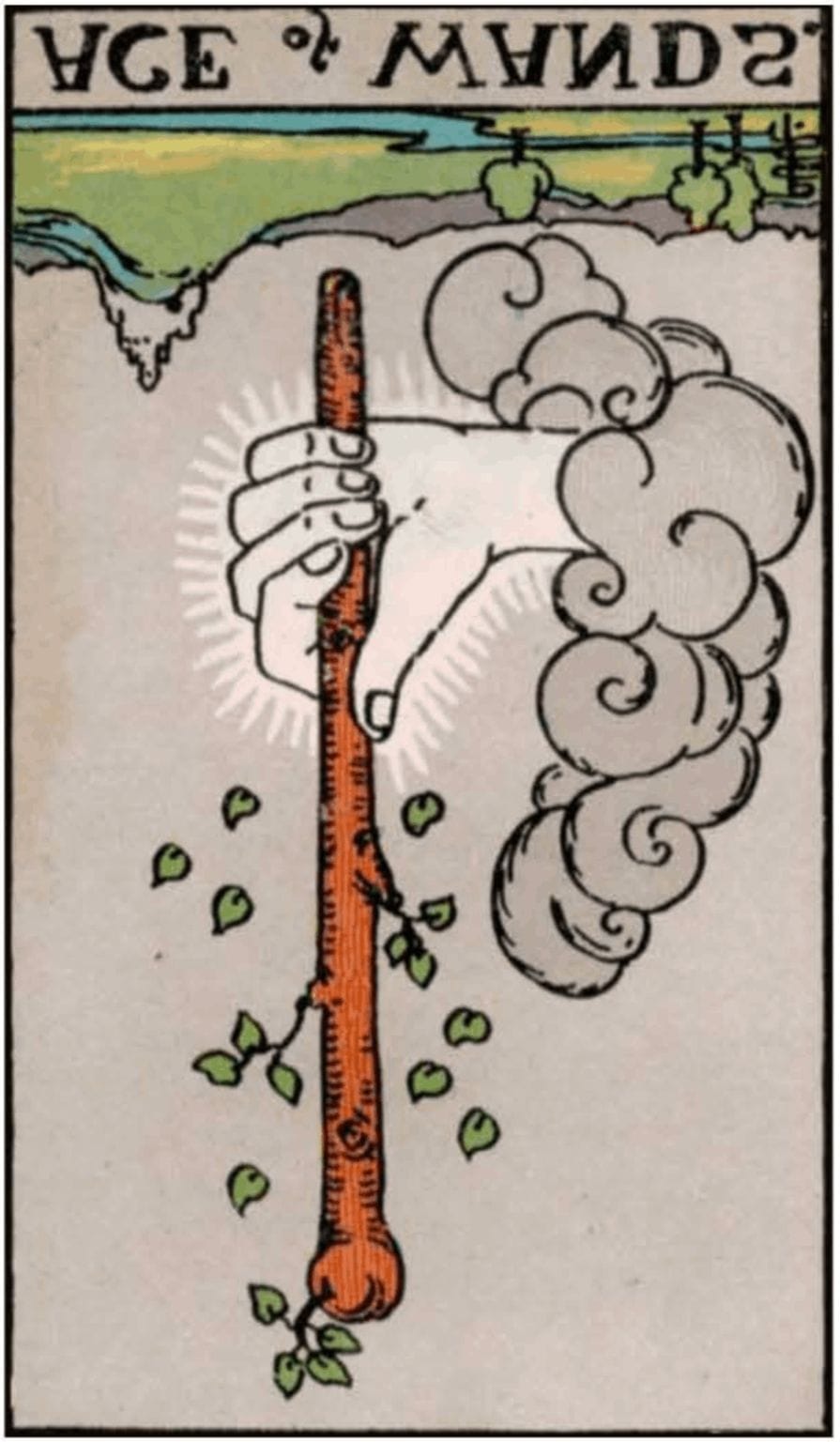 Your Monthly Horoscope Tarot Read For August Is Here!